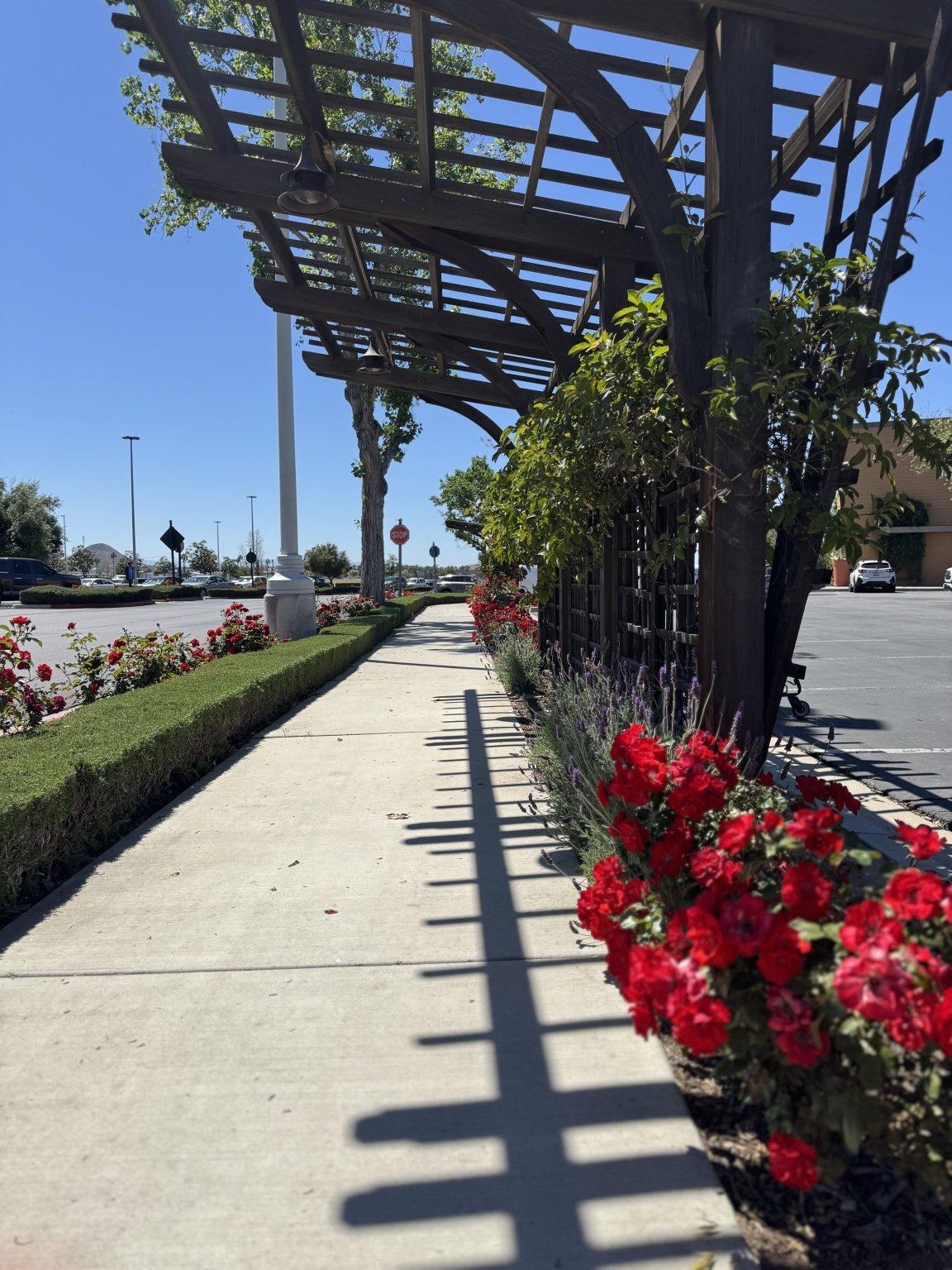 The Menifee Experience | Guide to Local Places, Events & People